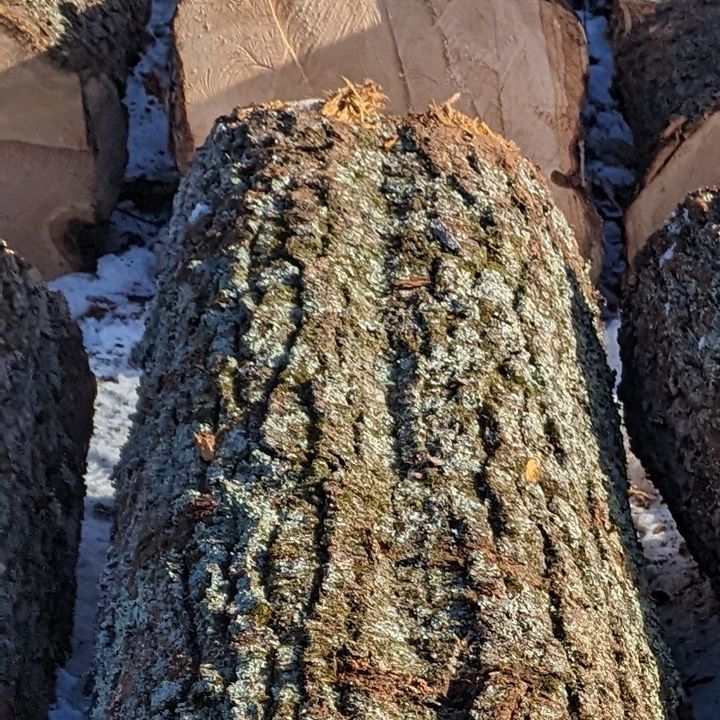 Log Prep Tip of the Week: What is a Clear Face? - Mill Market