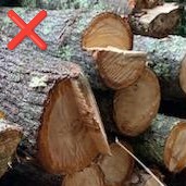 Log Prep Tip of the Week: Cut your log ends flat! - Mill Market