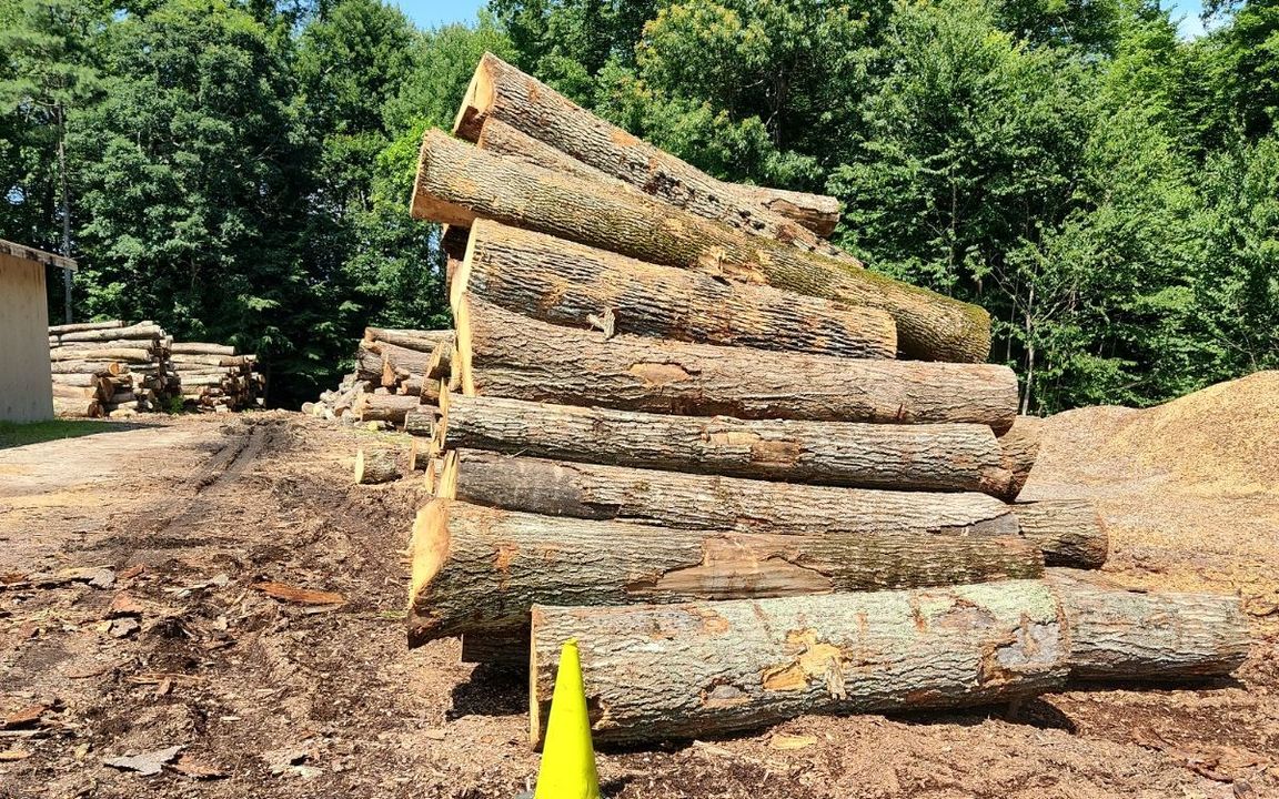 Log Prep Tip of the Week: Grade Hardwood vs Pallet Hardwood - Mill Market