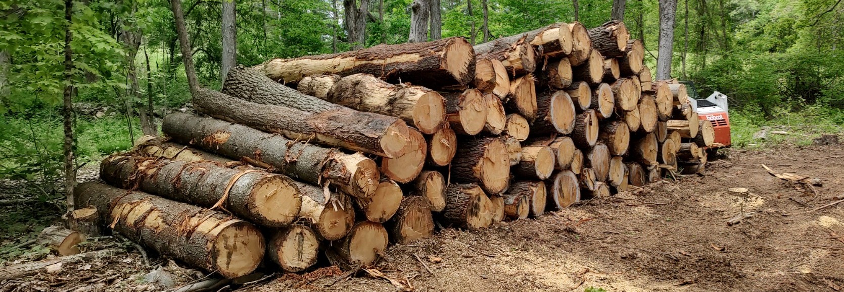 Log Prep Tip of the Week: Softwood Lengths - Mill Market