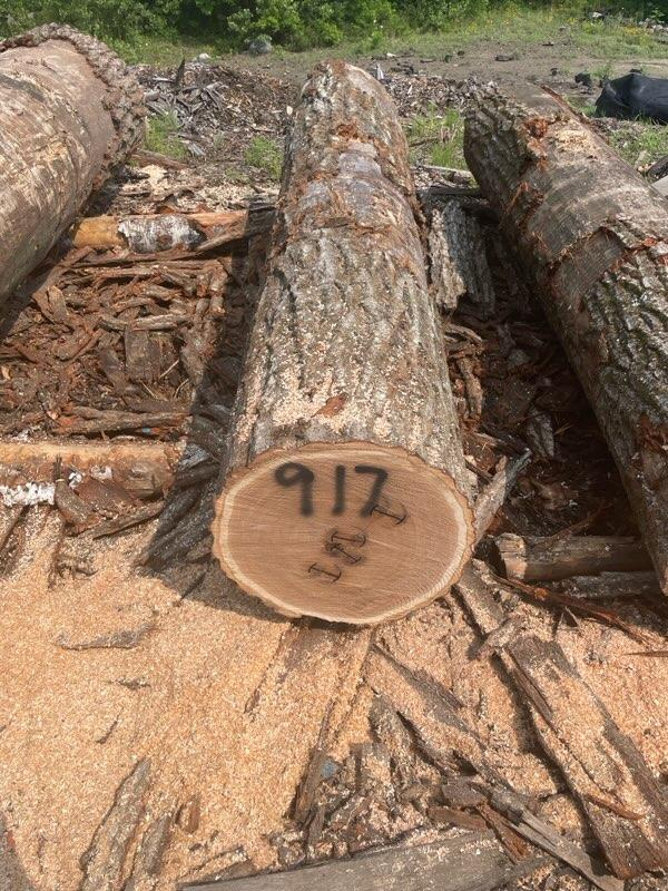 Log Prep Tip of the Week: How to Spot a Veneer Log - Mill Market