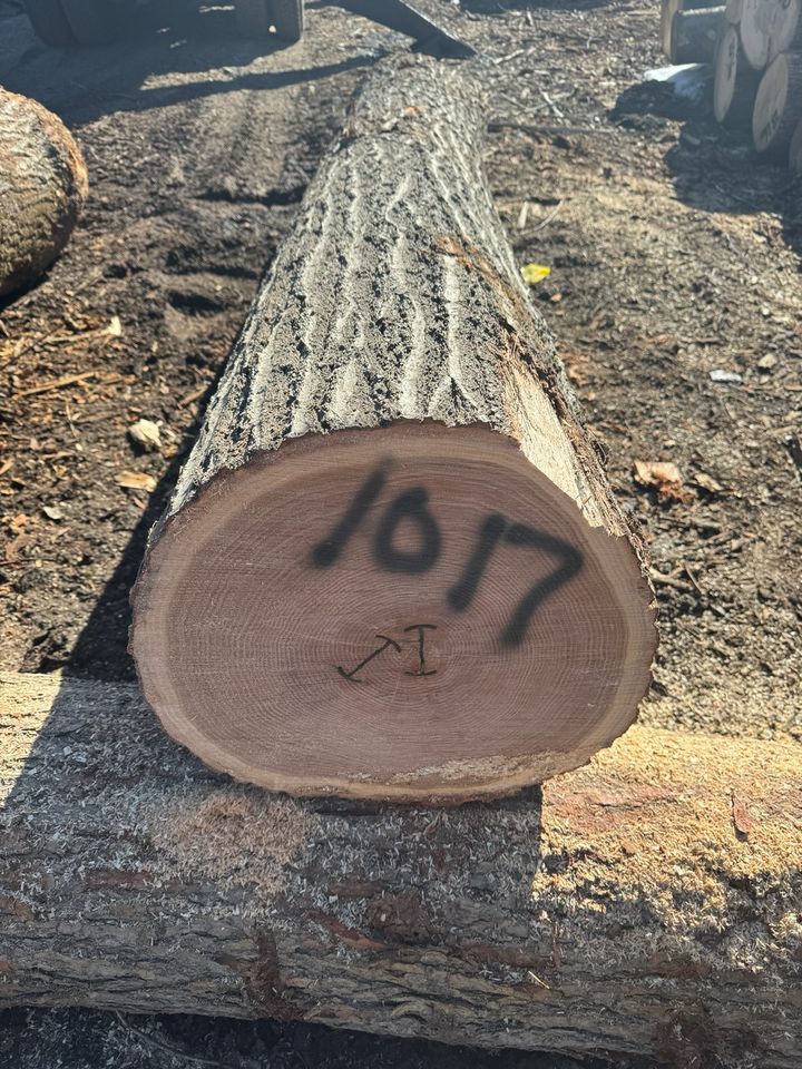 Log Prep Tip of the Week: How to Spot a Veneer Log - Mill Market