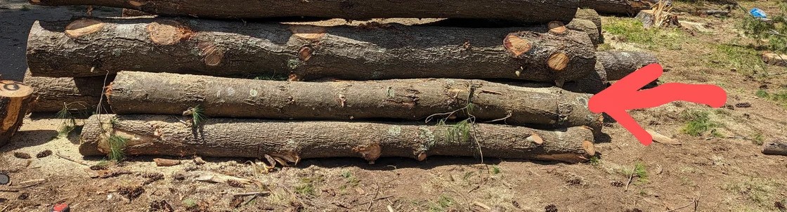 Log Prep Tip of the Week: "Wavy" Pine Logs - Mill Market