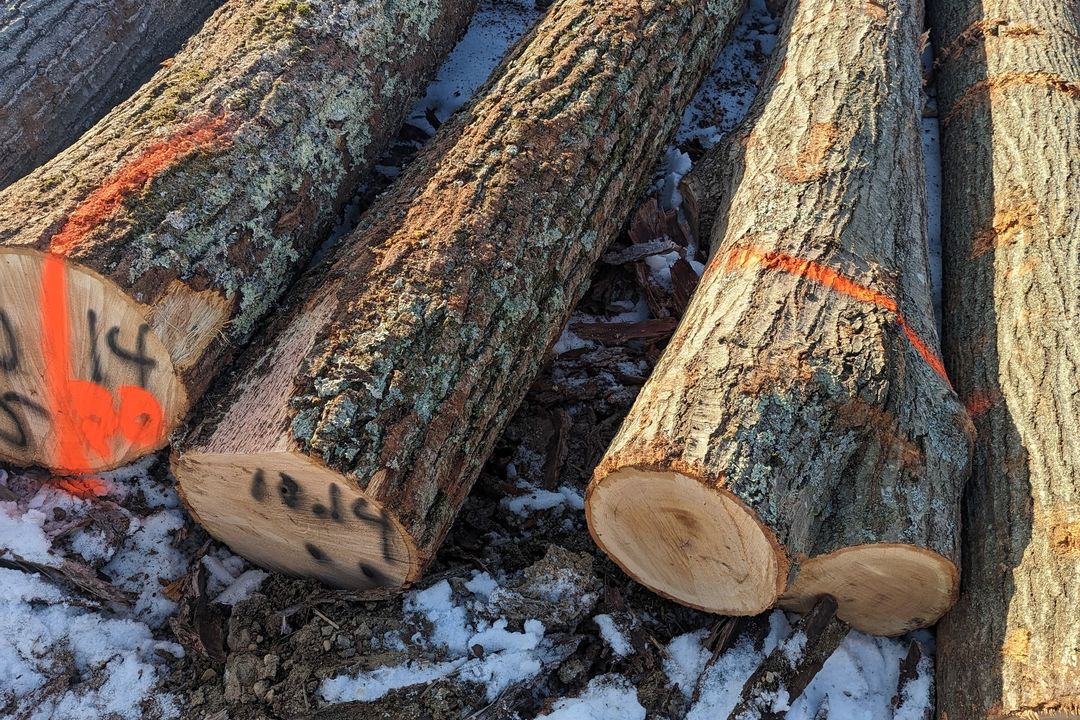 Log Prep Tip of the Week: Forked Ends and Double Hearts - Mill Market