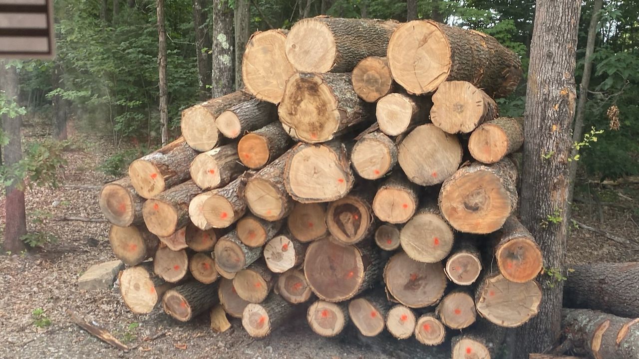 Log Prep Tip of the Week: Increasing Log Shelf Life - Mill Market