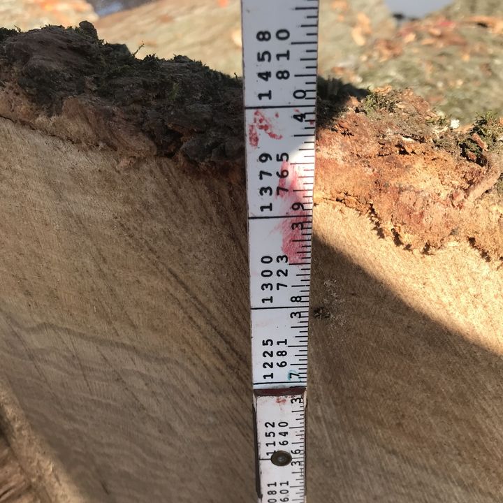 Log Prep Tip of the Week: Oversize Hardwood Logs - Mill Market