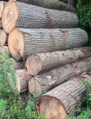 Basics of Log Preparation - Mill Market