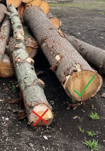 Basics of Log Preparation - Mill Market